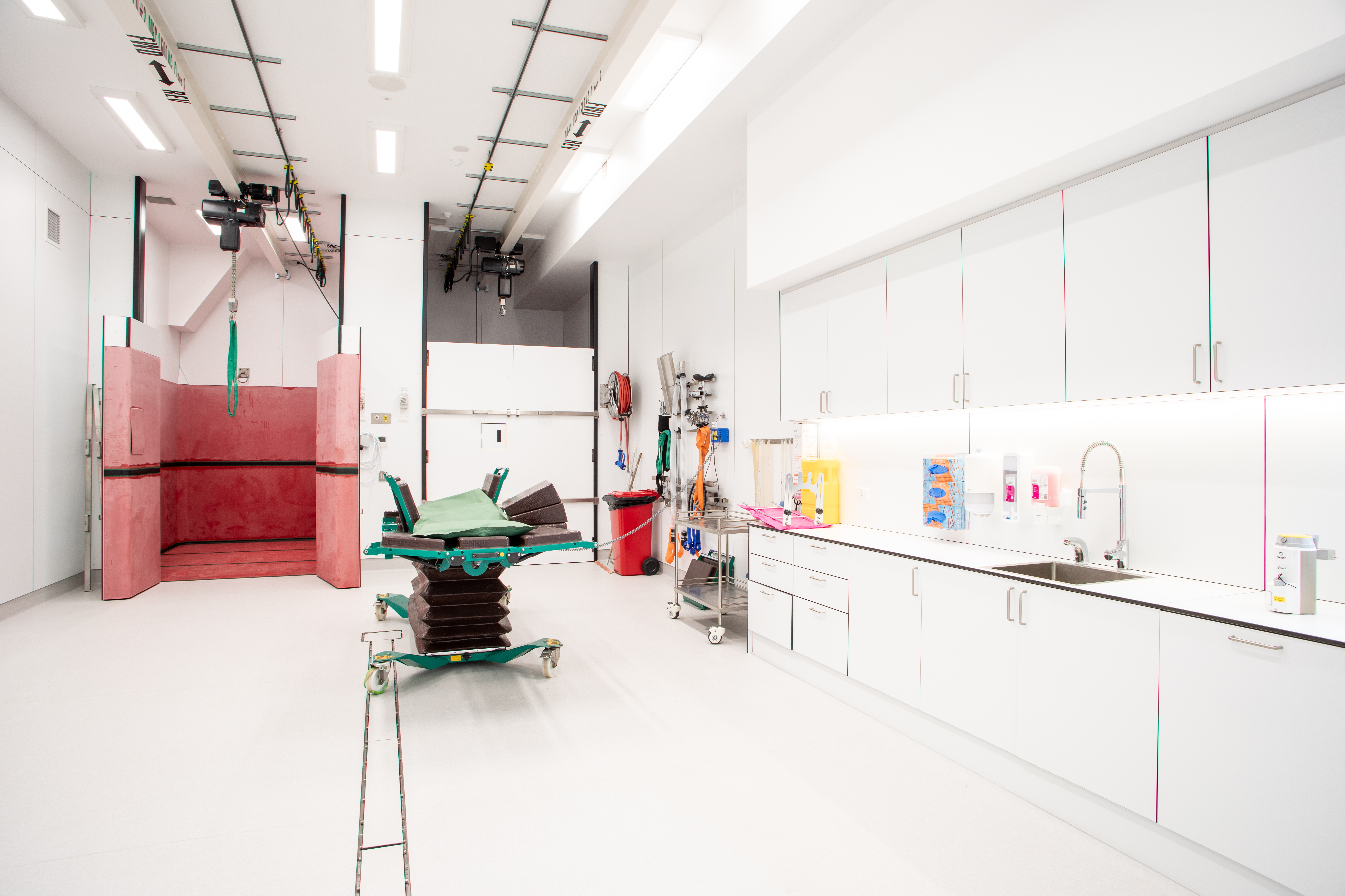 Willinga Park | Equine Surgery