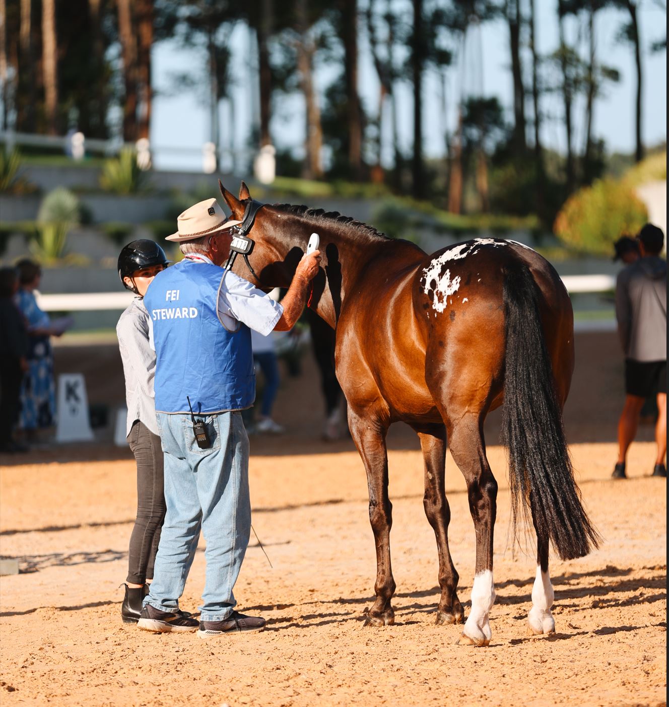 Willinga Park | Spectator Information | 4CYTE Dressage by the Sea 2025
