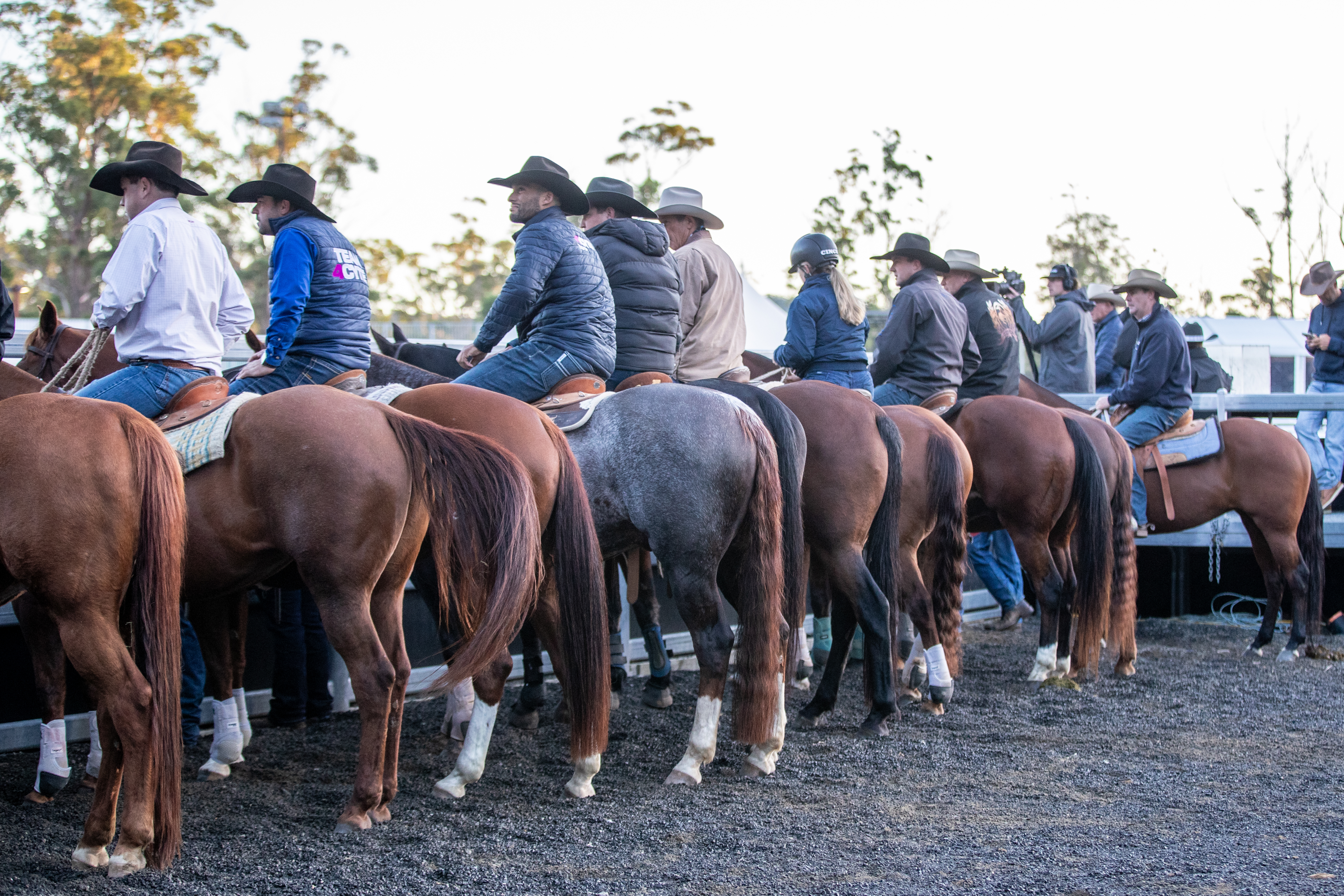 Willinga Park | Ringers Western Gold Buckle Campdraft 2025 | Spectator ...