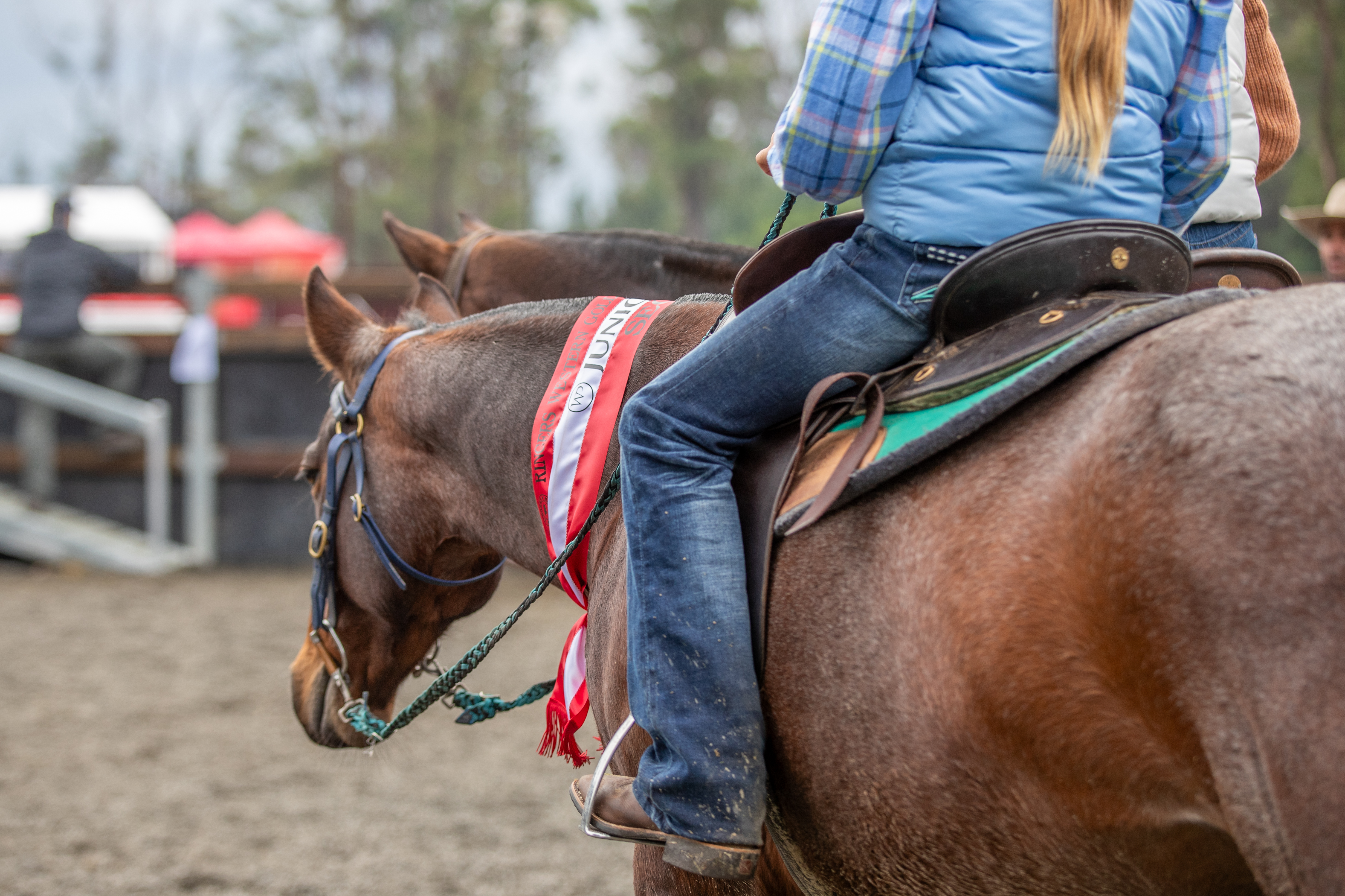 Willinga Park | Ringers Western Gold Buckle Campdraft 2025 | Competitor ...
