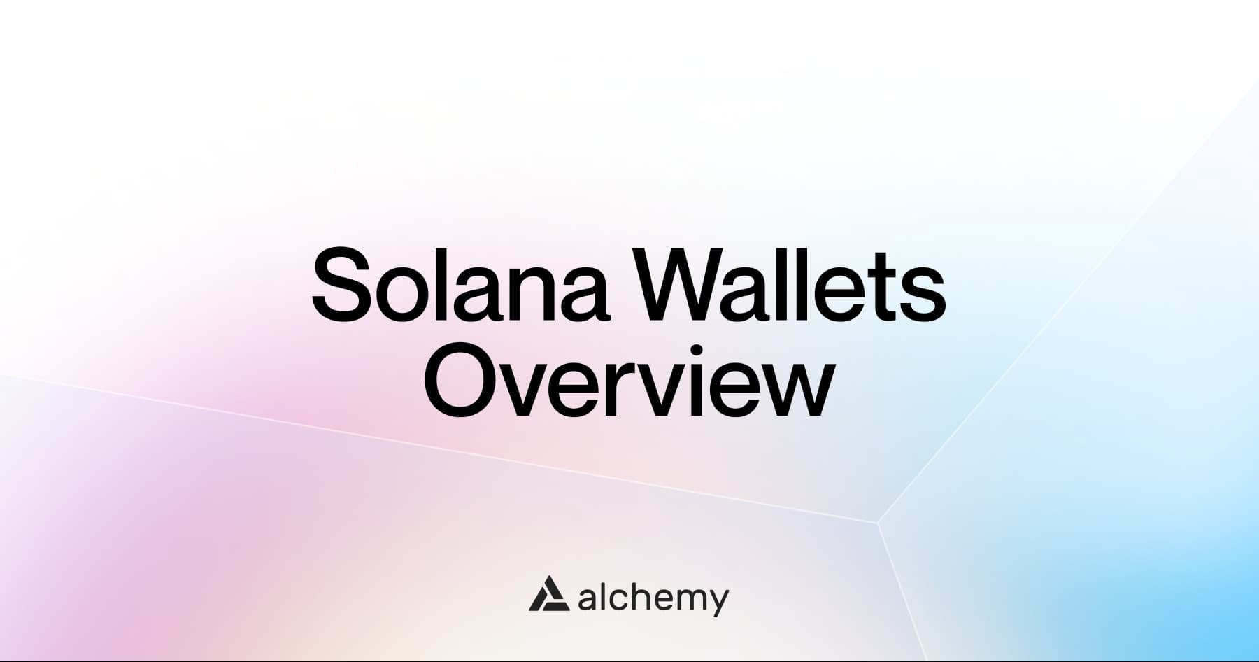 The 13 Best Solana Wallets (2024)