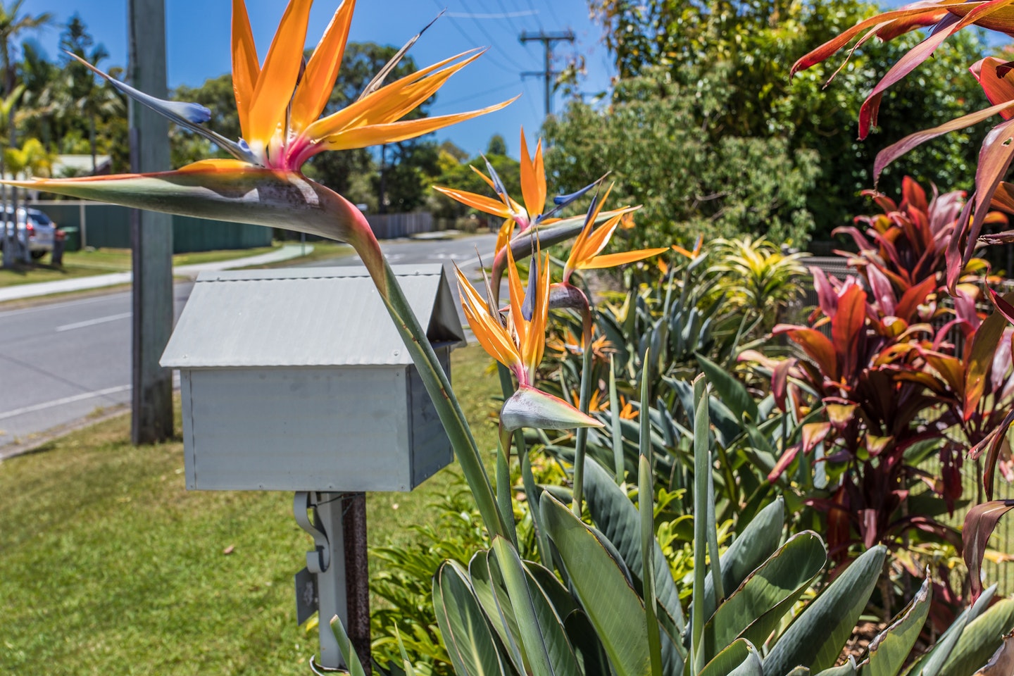 56 Donowain Drive DECEPTION BAY QLD | &Gray