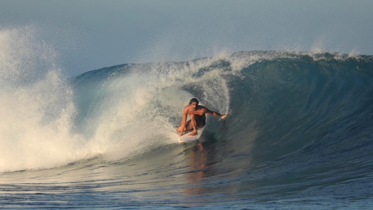 Partner Spotlight: Amir Mortazavi, Co-Founder of CANOPY