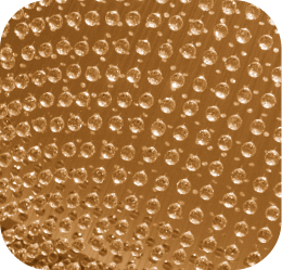 Nasolabial angle | Dr. Anil Shah, MD, FACS