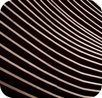 Rhinoplasty Incisions | Dr. Anil Shah, MD, FACS