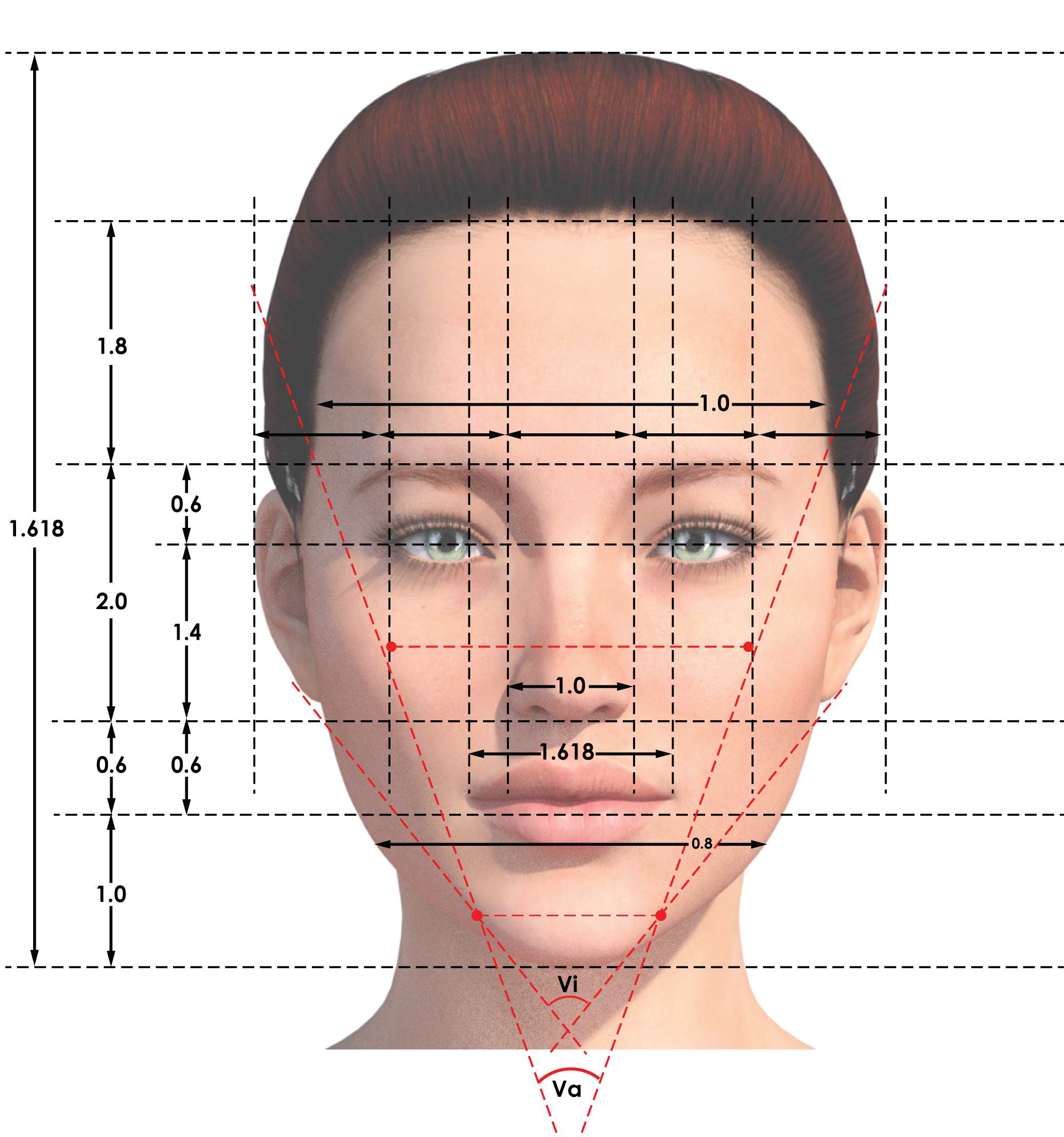 Intuitive Beauty: How We Measure the Face | ANIL SHAH MD | BLOG