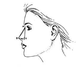 Anatomy of the Nose | Dr. Anil Shah
