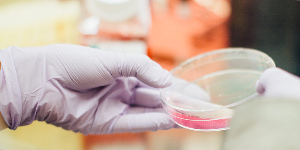 L'impact de la pollution de l'air sur nos cellules