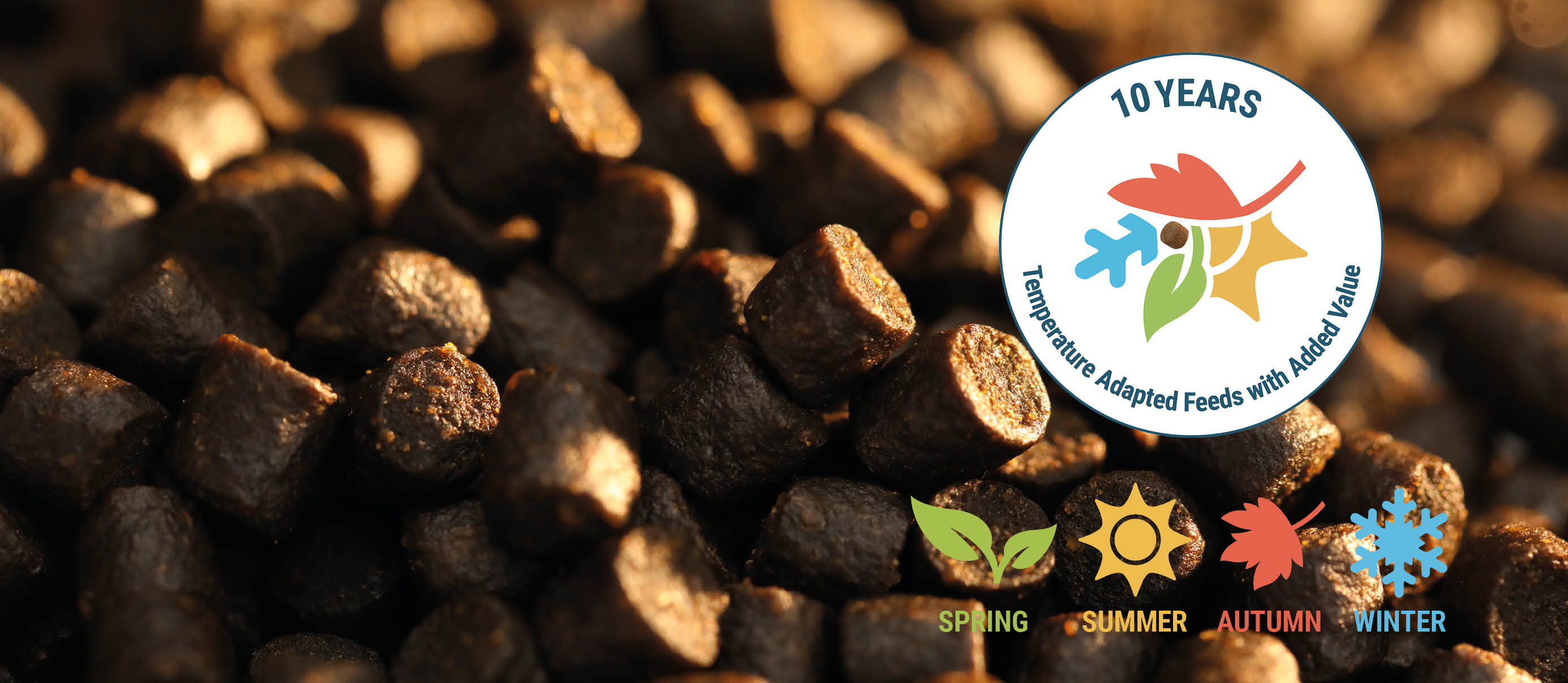 High Quality Feed For Aquaculture | High value aquafeed