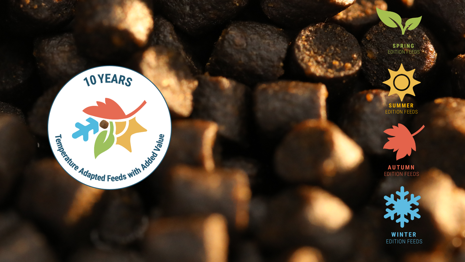 Aller Aqua–Premium Feed for Aquaculture|60 Years Experience | High...