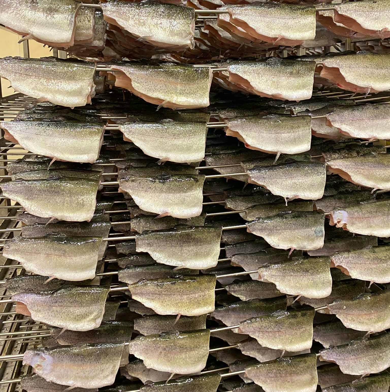 Aller Aqua | Fish farm-Feed R&D collaboration aims to ensure future...