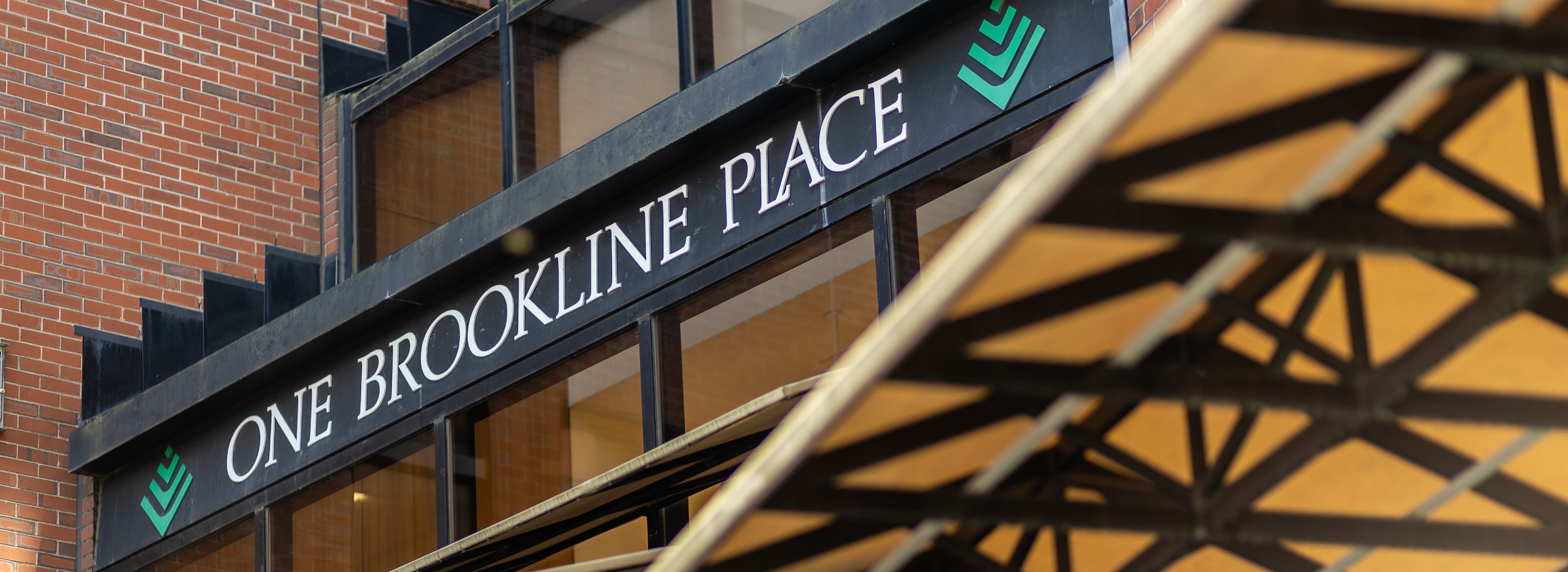 Fat Transfer Injections | Boston Center for Plastic Surgery