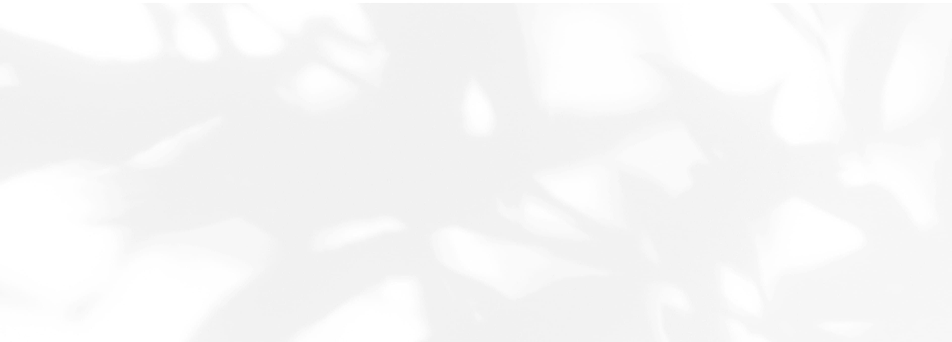 Lorena Luca | Spa & Med Spa in Raleigh, NC