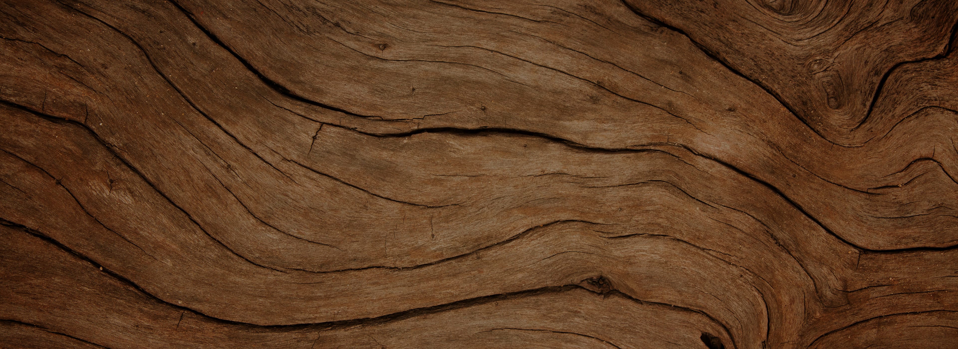 Laser Hair Removal Raleigh, NC | Lorena Luca Med + Spa