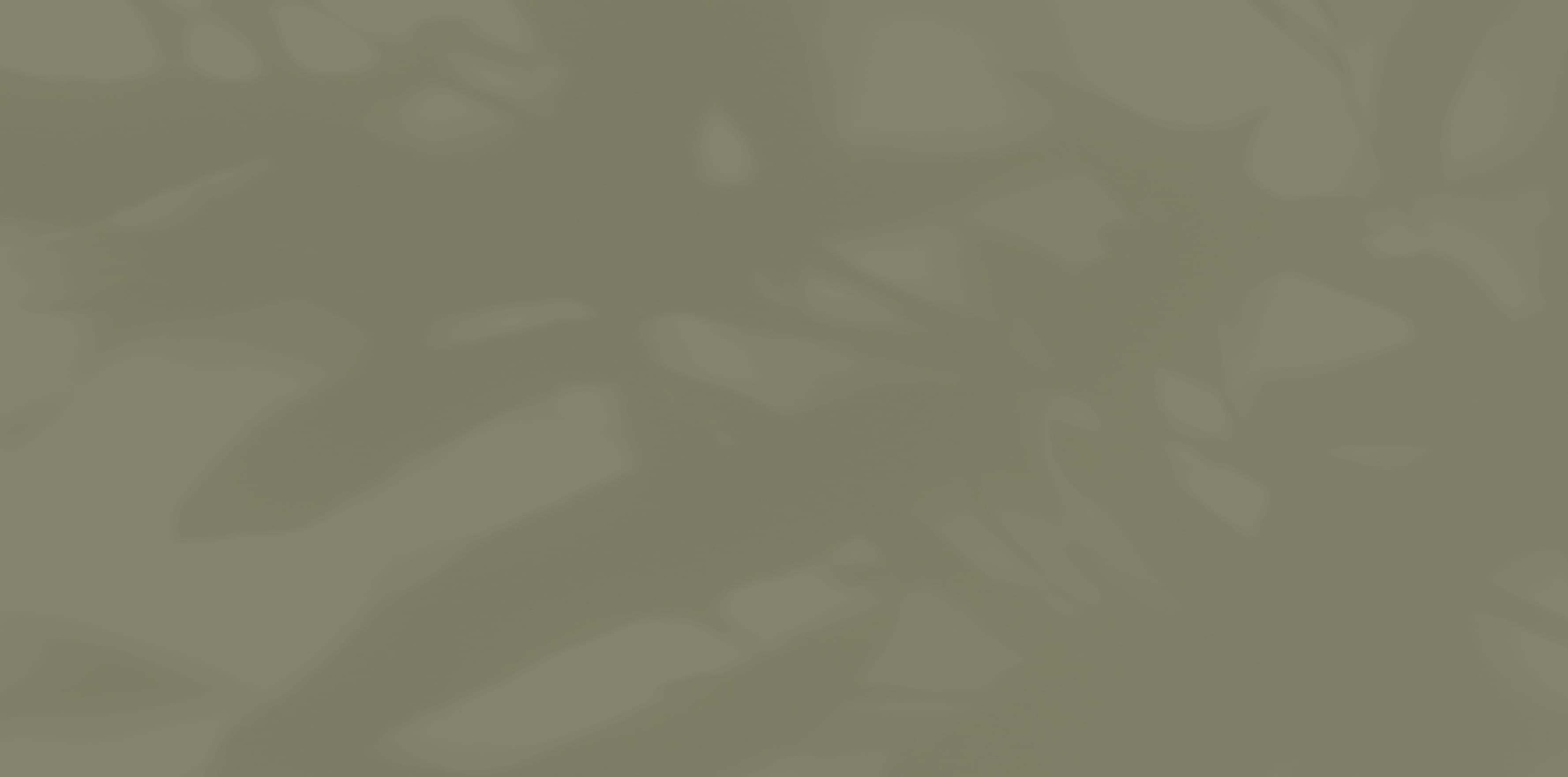 Lorena Luca | Spa & Med Spa in Raleigh, NC