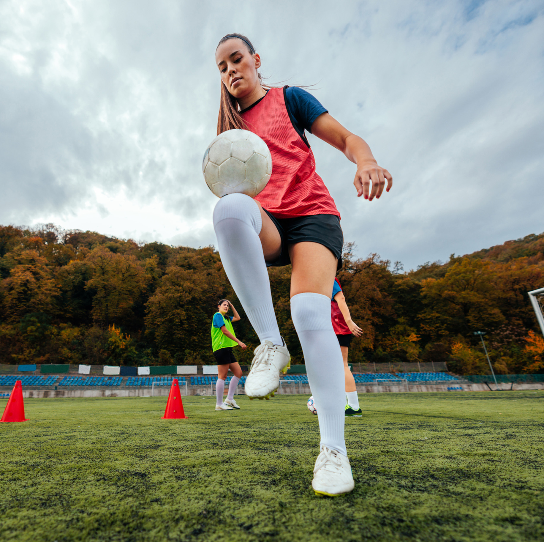 Knee | Premier Orthopaedic Associates