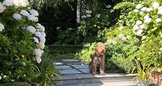 In conversation with Will Gibson | Marshall White