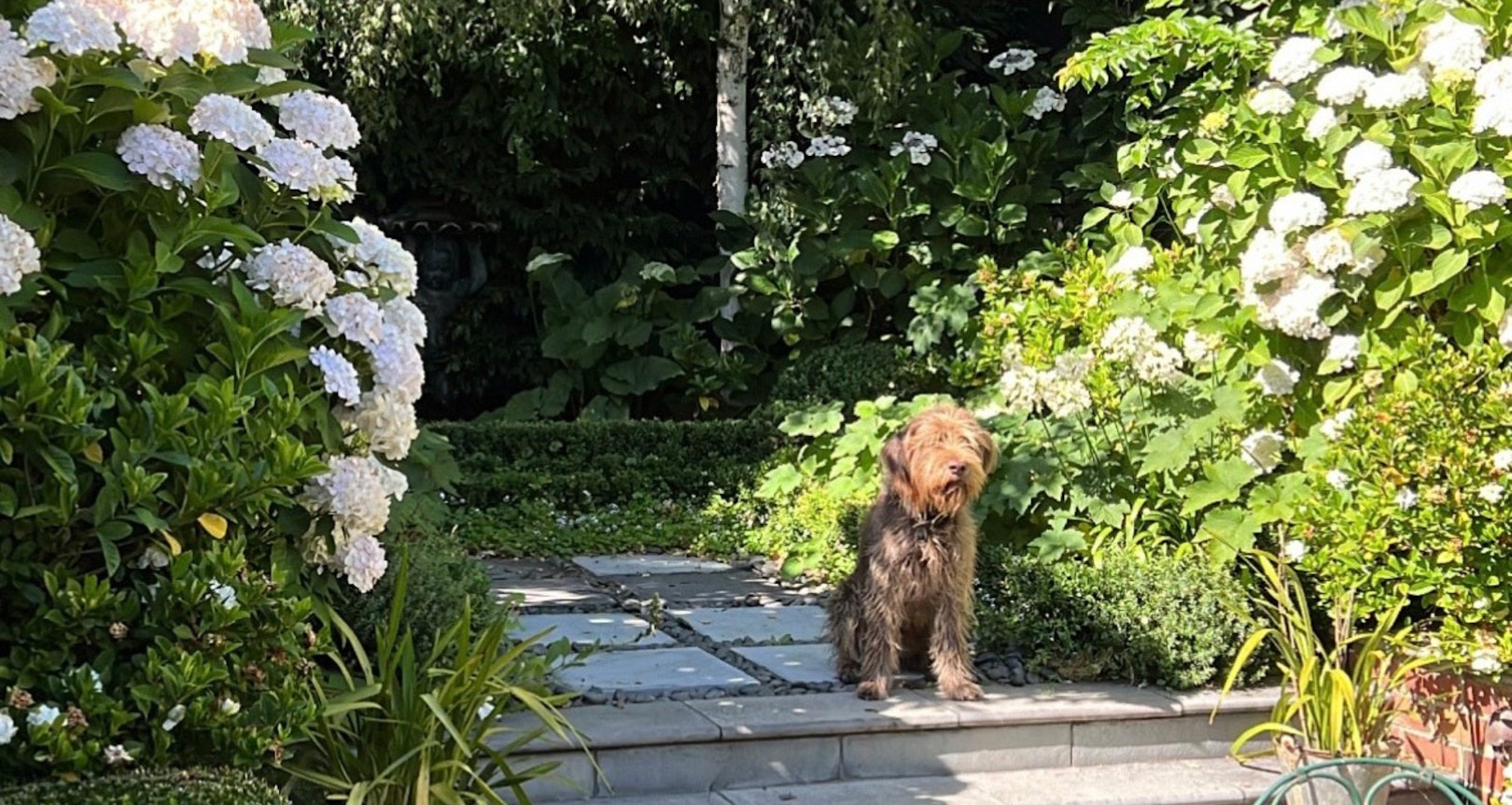 In conversation with Will Gibson | Marshall White