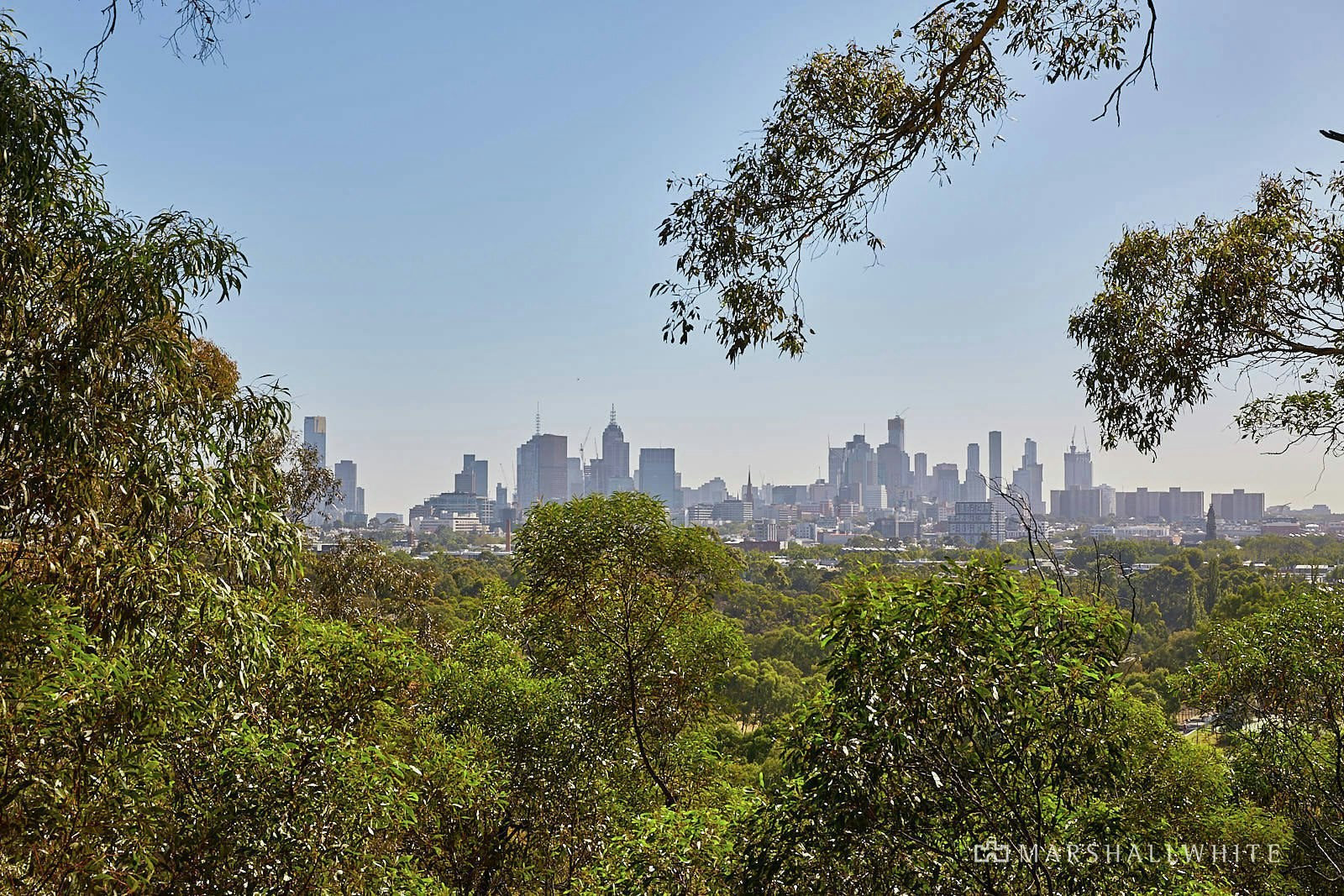 Tom Rogan | Estate Agent Boroondara | Marshall White