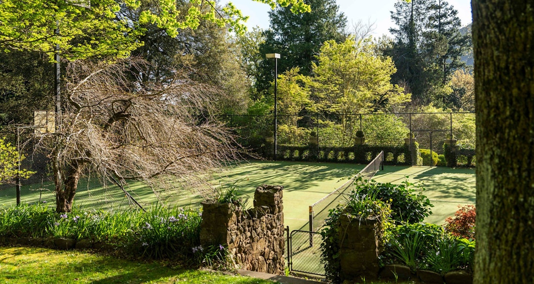 Ben Vieth | Estate Agent Bayside | Marshall White | Marshall White