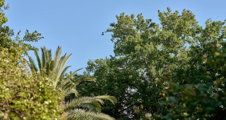 5 Deepdene Road, Deepdene, VIC | Marshall White