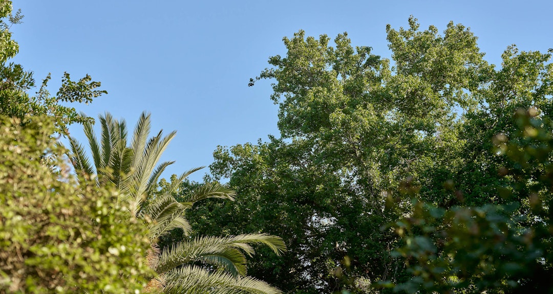 Real Estate Agents Deepdene | Properties for Sale | Marshall White ...