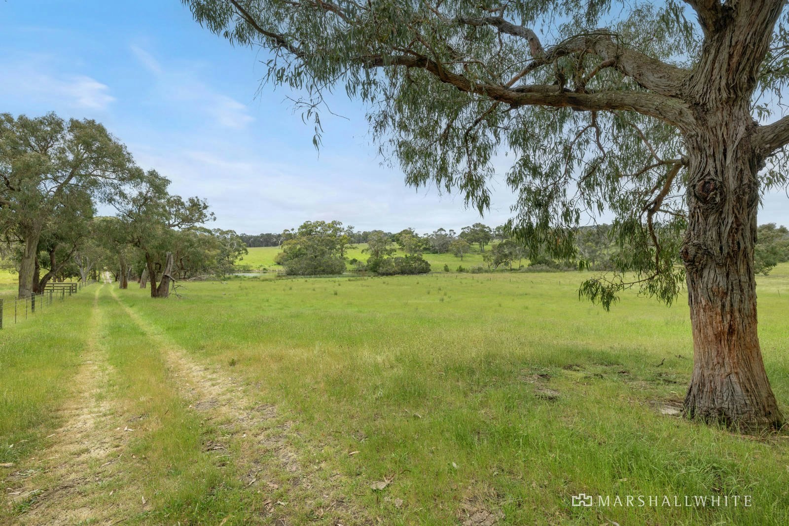 365 Wallaces Road, Dromana, VIC | Marshall White