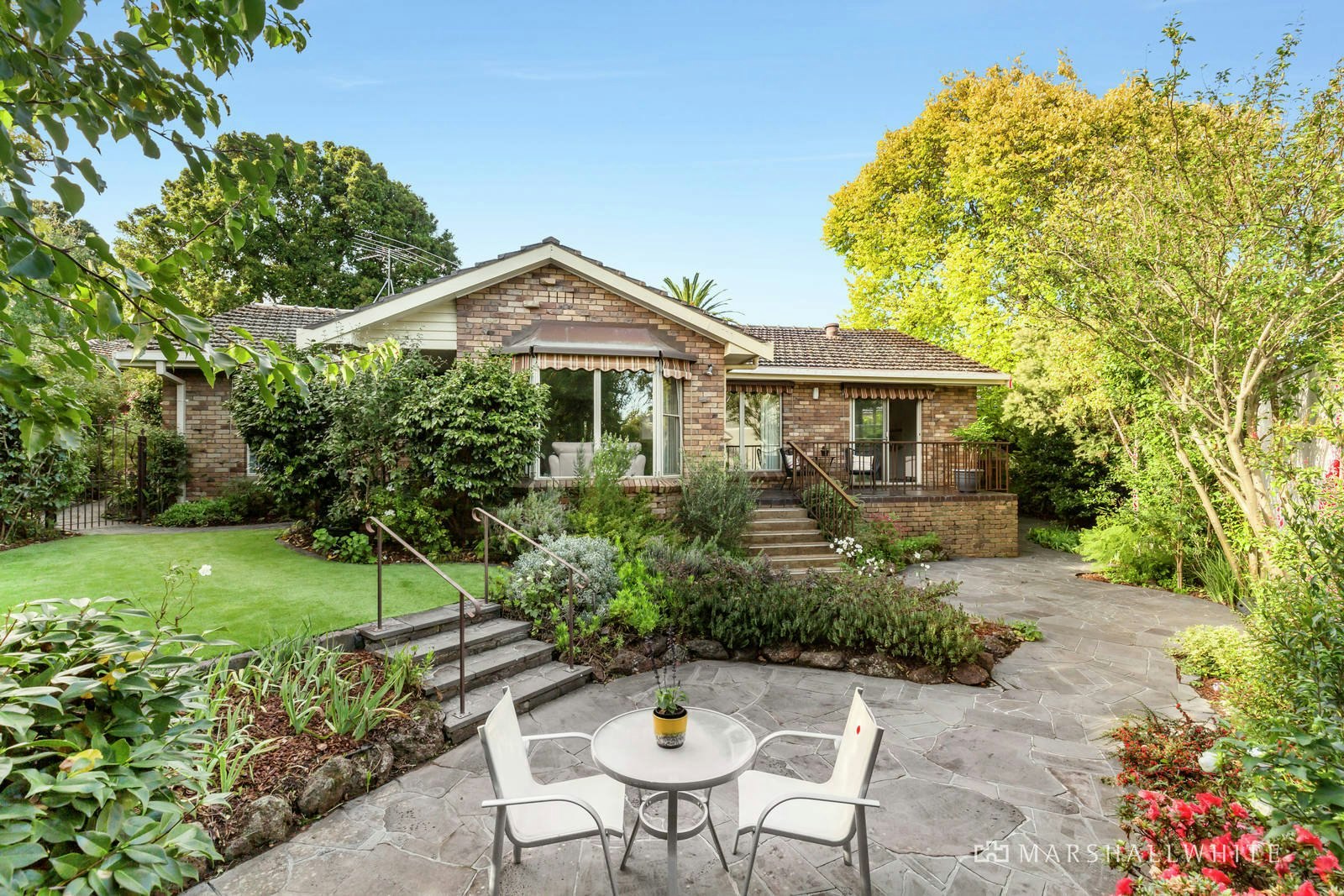 Julian Papas | Estate Agent Boroondara | Marshall White