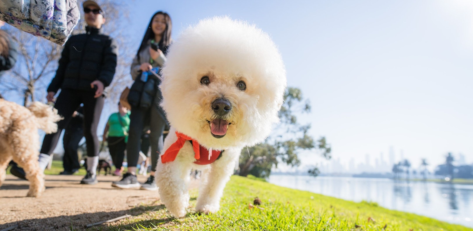 RSPCA Million Paws Walk 2025: One Last Lap | Marshall White