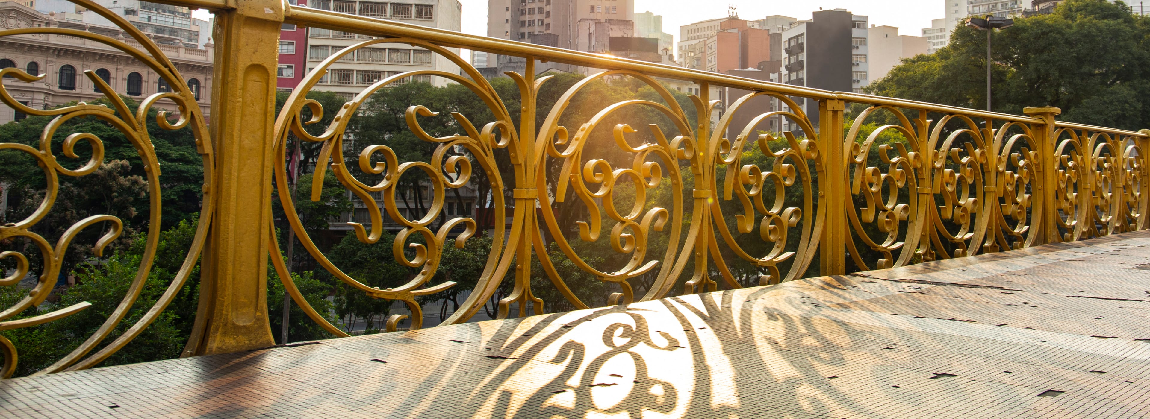 Dr. Tessa Hadlock M.D. | Hadlock Facial Plastic Surgery