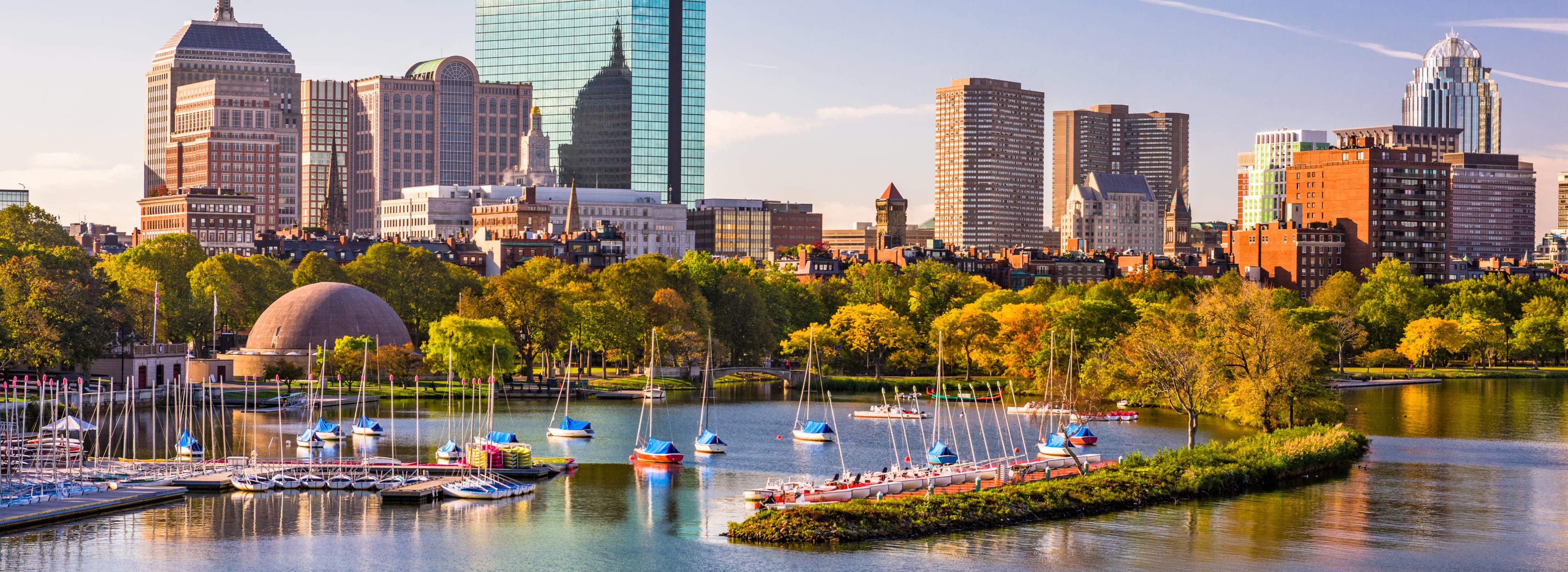 Dr. Tessa Hadlock M.D. | Hadlock Facial Plastic Surgery