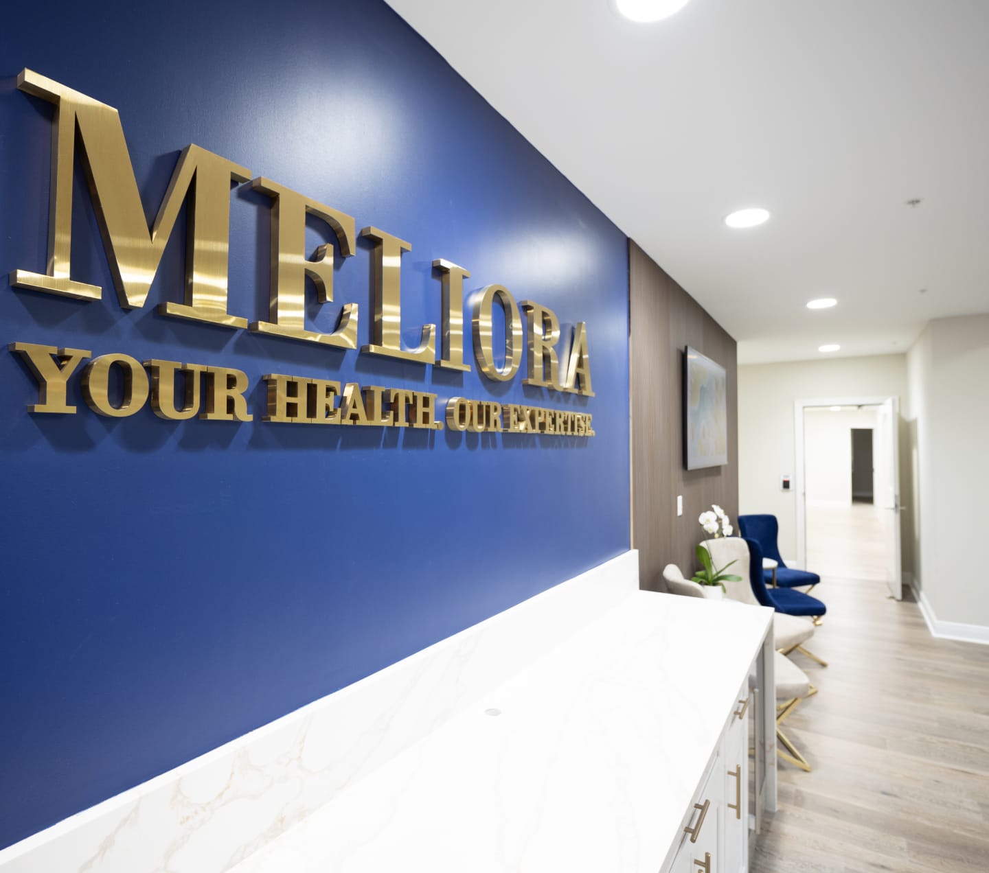 Naples Florida Healthcare | Meliora Healthcare