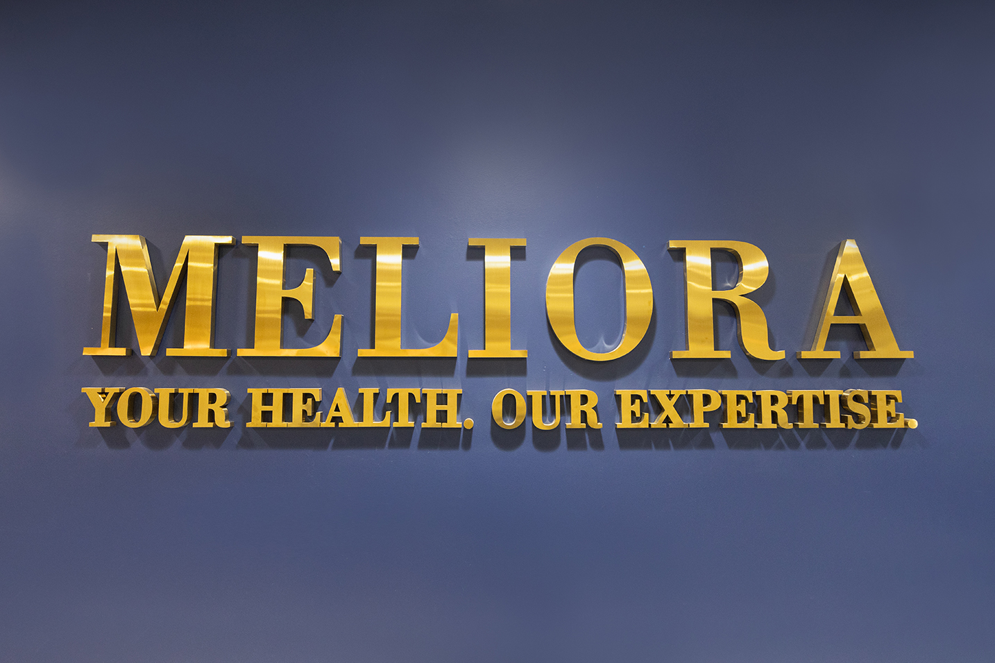 About Us | Meliora Healthcare