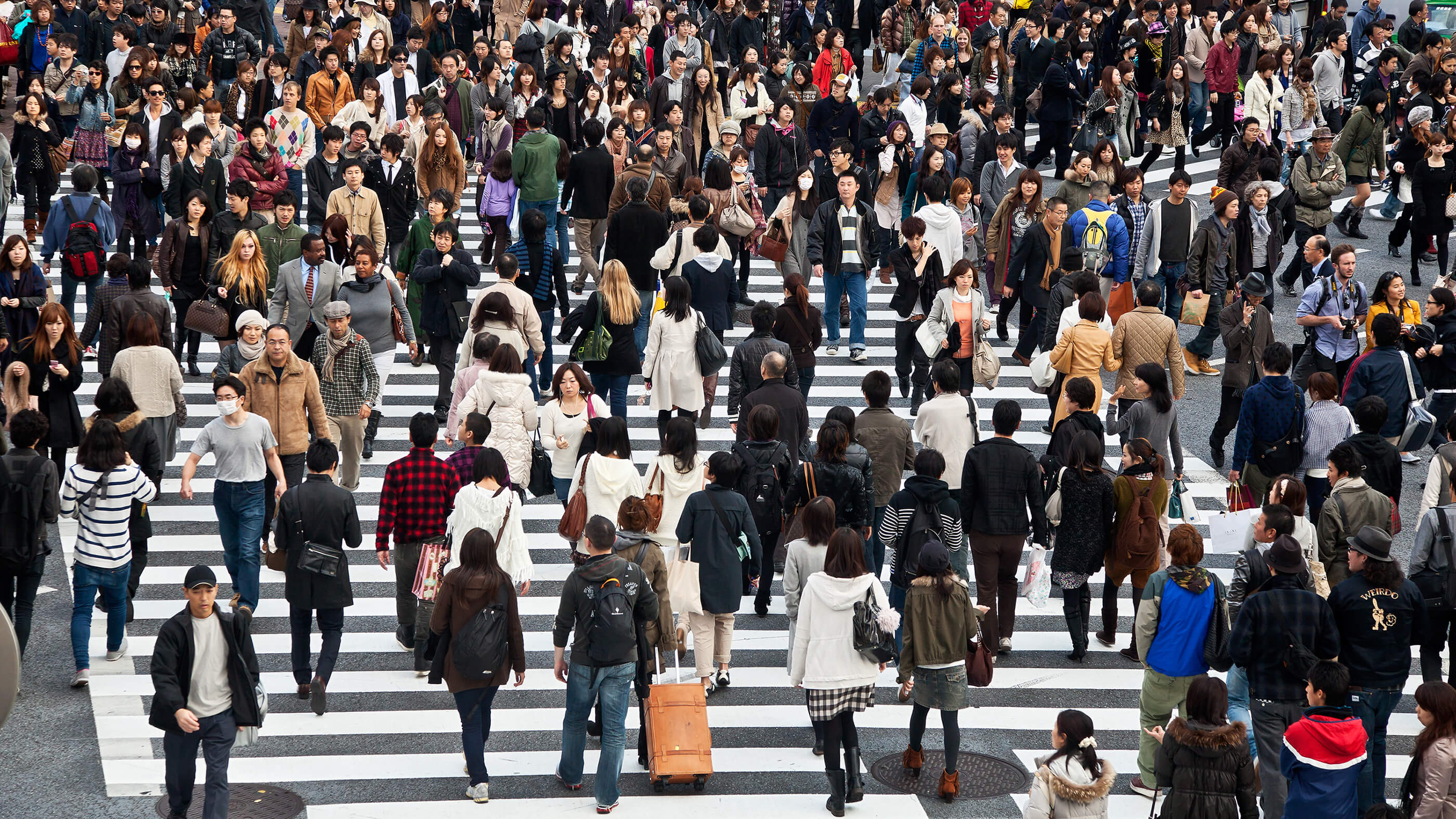 Exposing The Zero Population Lie | Evie Magazine