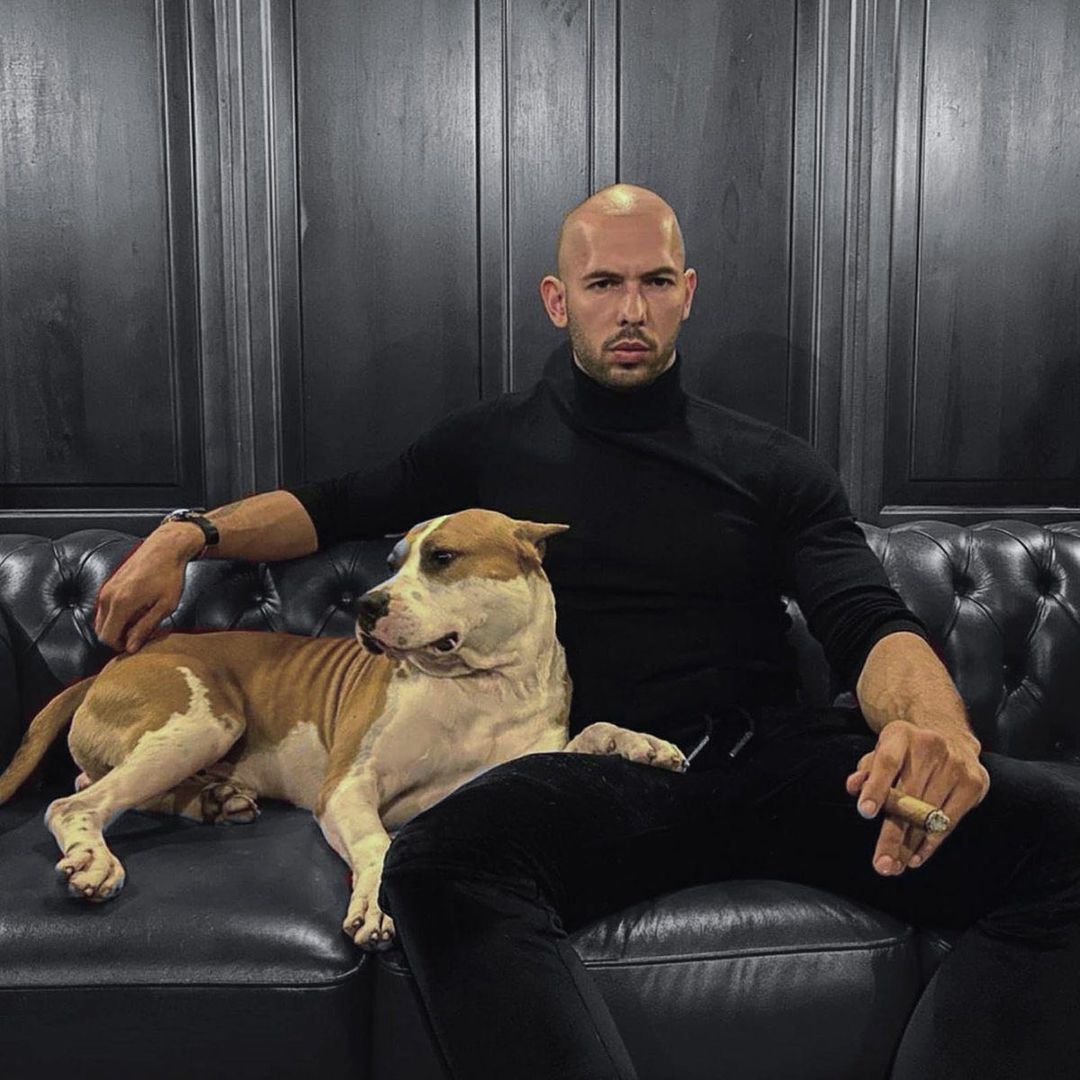 The Problem With Andrew Tate | Evie Magazine