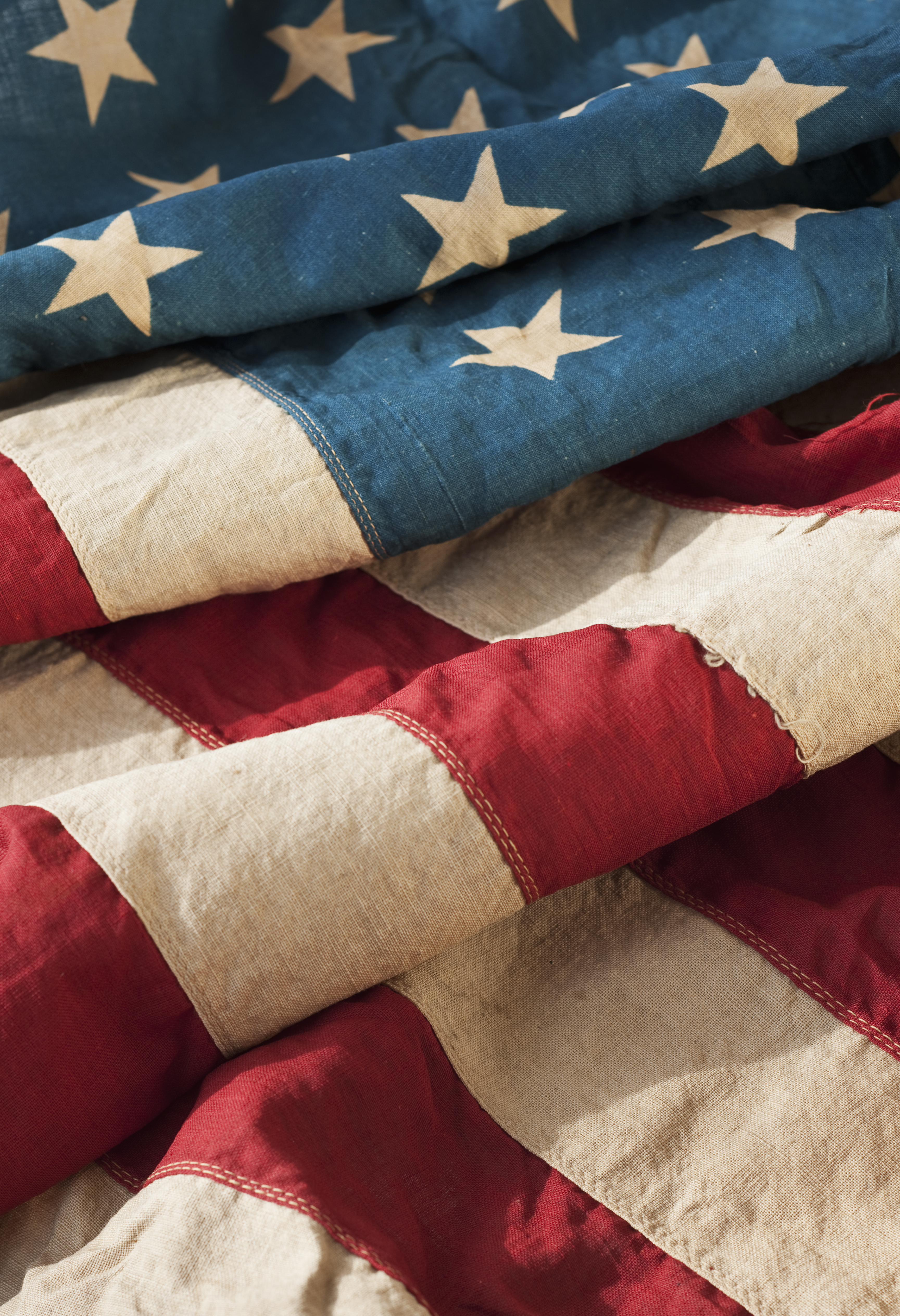 When Did The American Flag Become A Partisan Symbol? | Evie Magazine