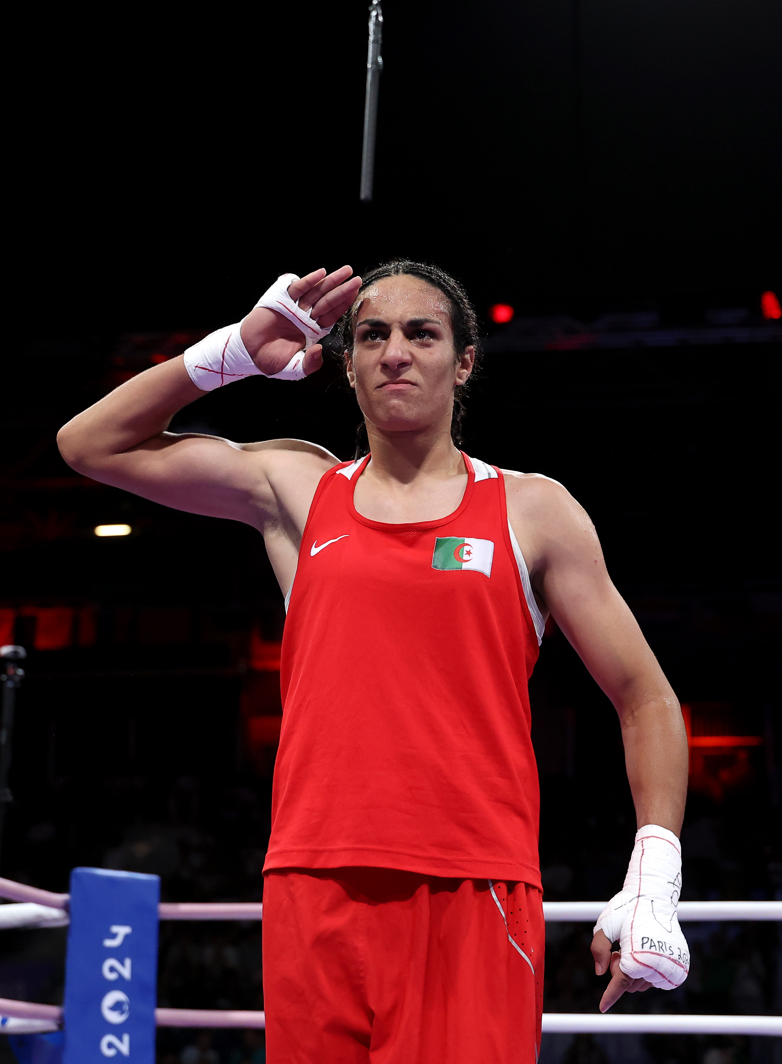 Two Boxers Previously Disqualified For Having "XY Chromosomes" Are Set ...