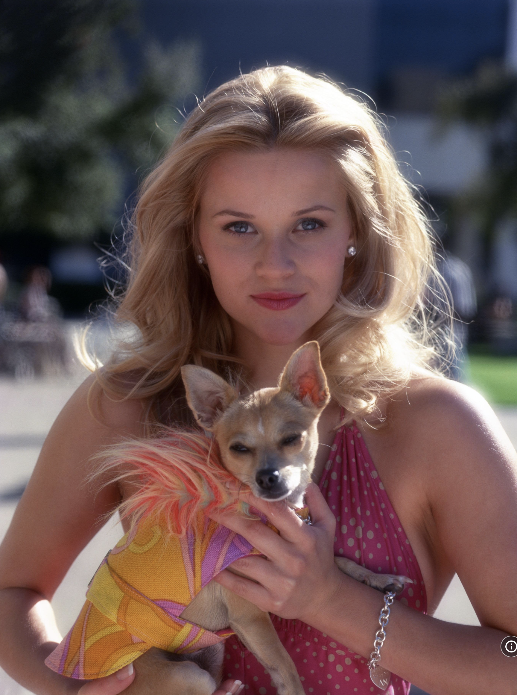 Elle Woods is Back—Here Are 7 Things We Can Learn From Her Unique Brand ...
