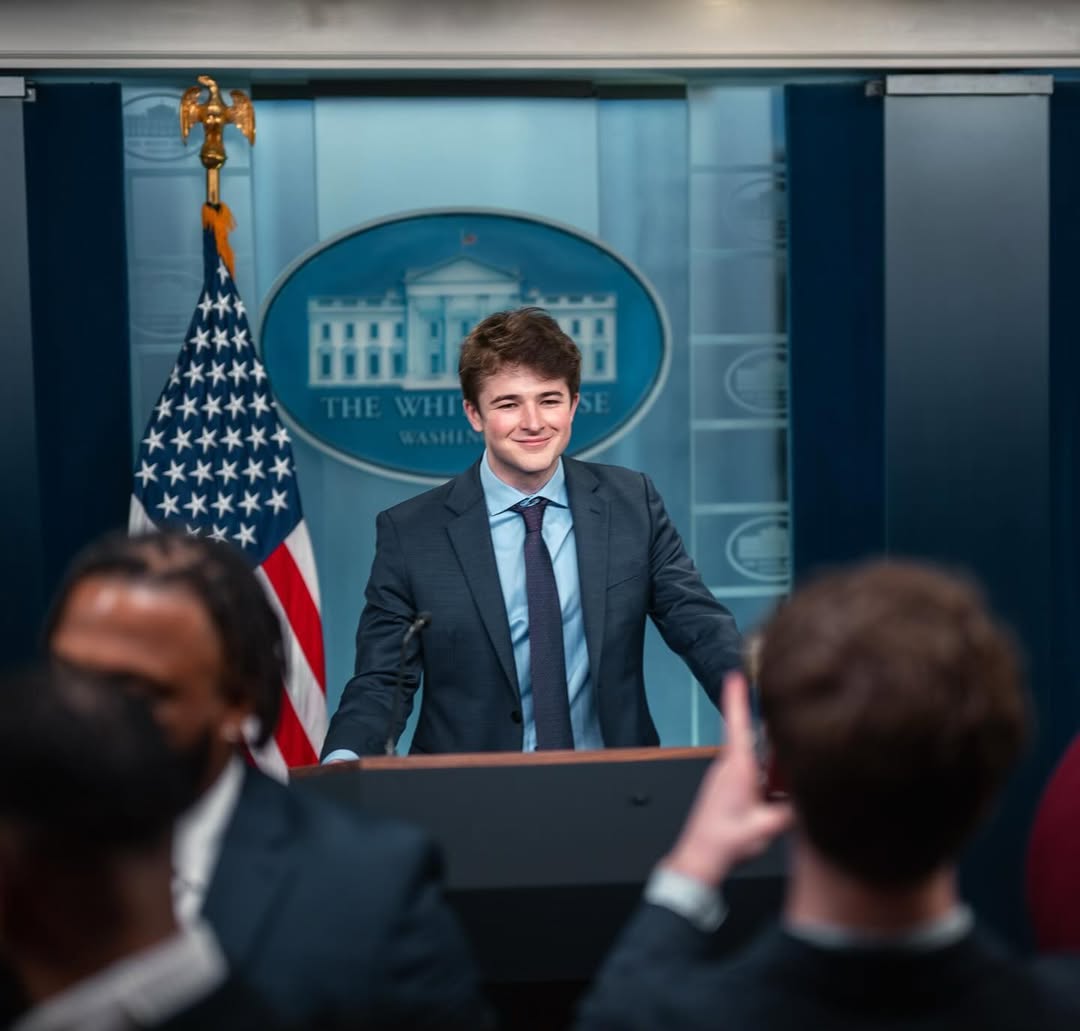 Democratic Influencer Harry Sisson Gets Canceled For Being A Straight ...