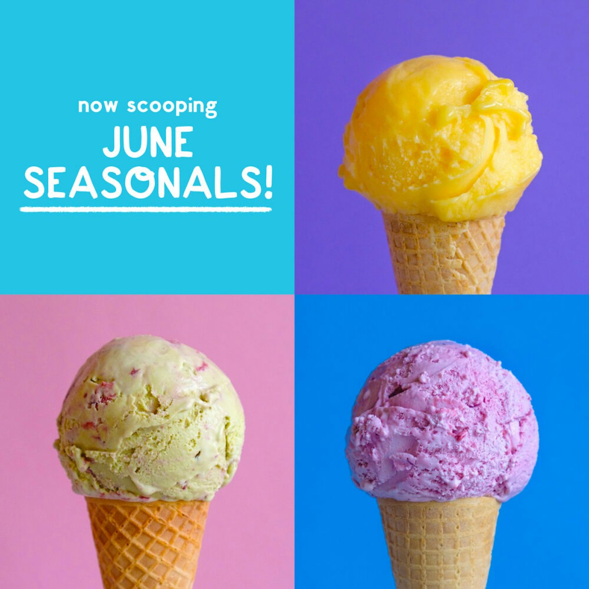 June Seasonals! — Molly Moon's Ice Cream