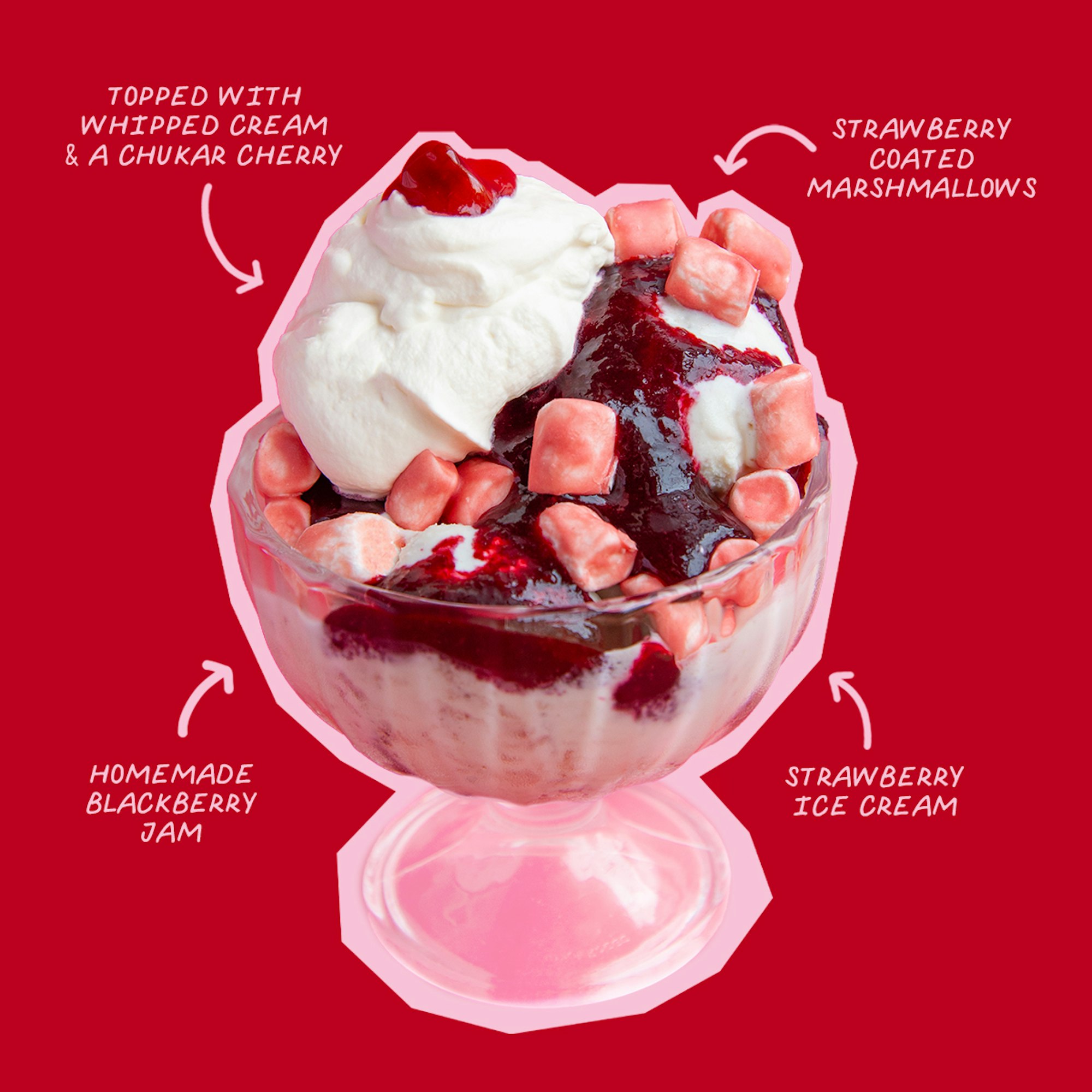 summer berry sundae! — Molly Moon's Ice Cream