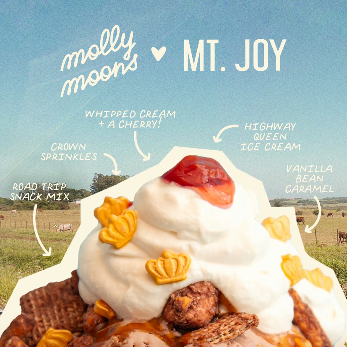 Mt. Joy x molly moon’s collaboration