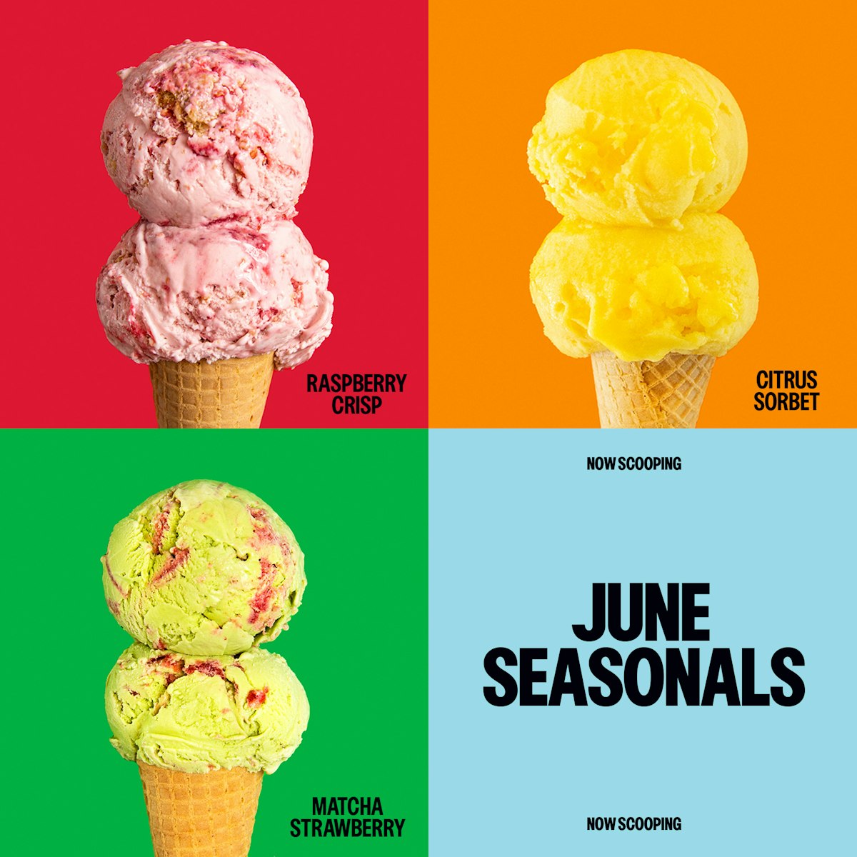 june seasonals! — Molly Moon's Ice Cream