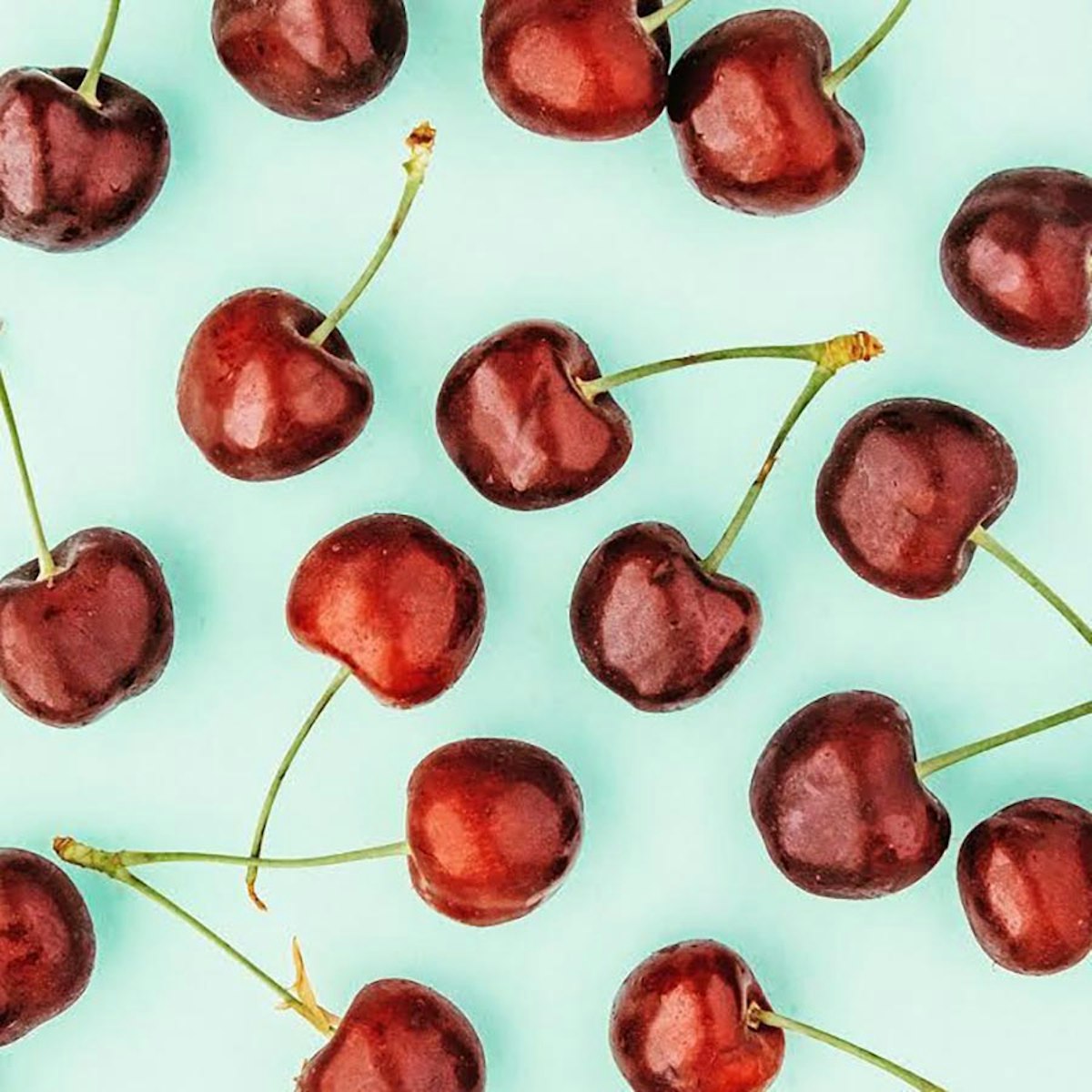 Our Chefs' Summer Cherry Orchard Visit