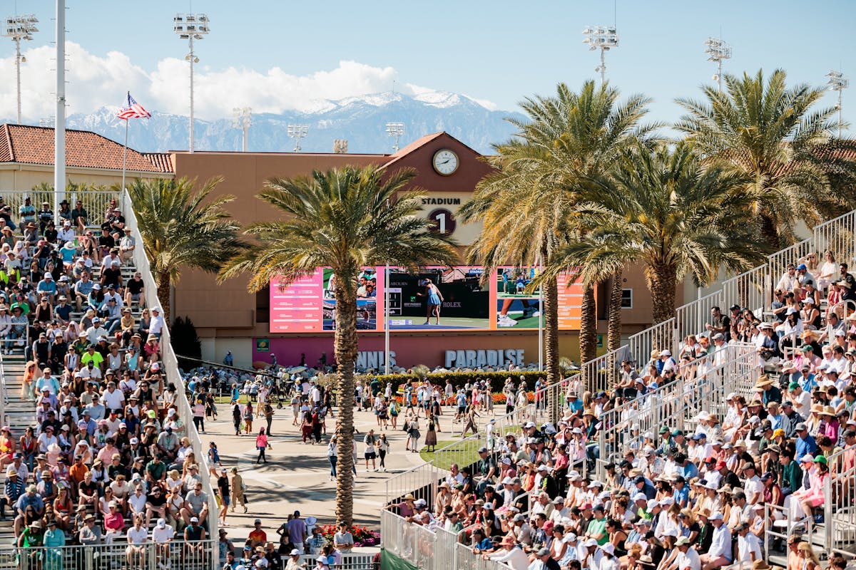 Mini Packages On-Sale Now: Explore The Benefits of Each