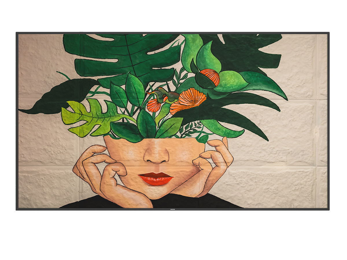 86BDL4511D/27 | PPDS