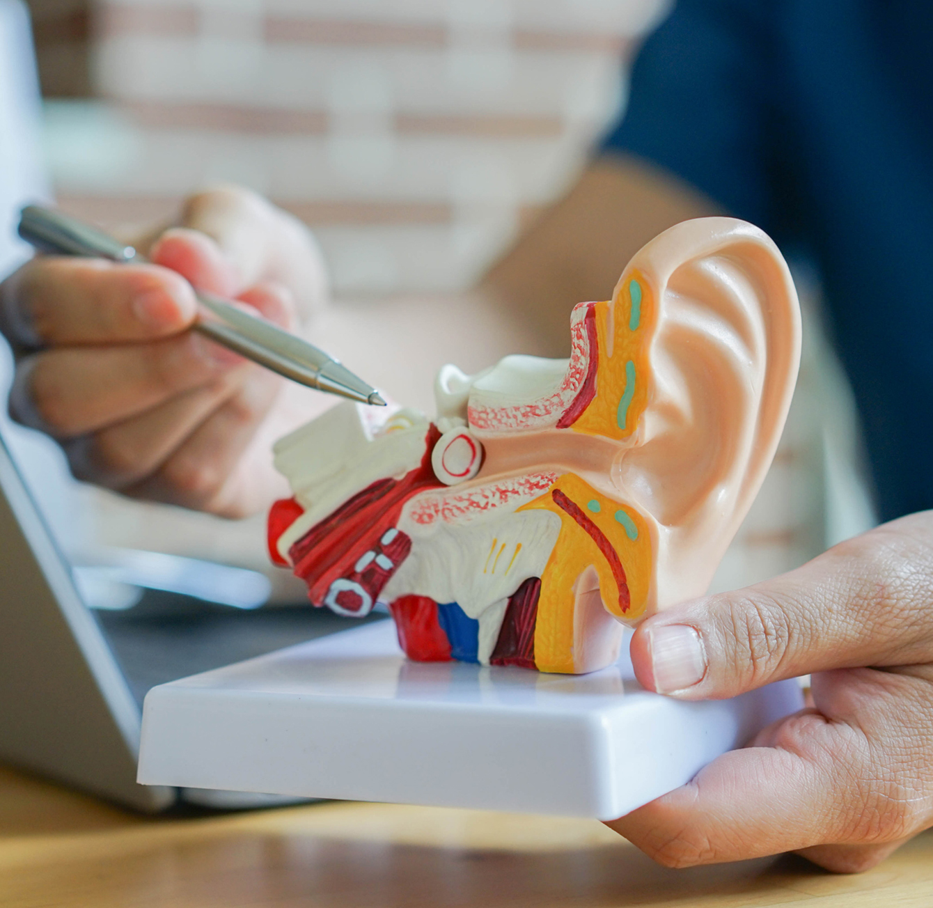 Ear Tubes in Louisiana | Louisania ENT Specialists