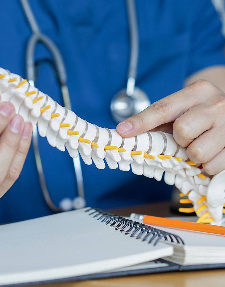 Four Phases of Care | Freeform Chiropractic