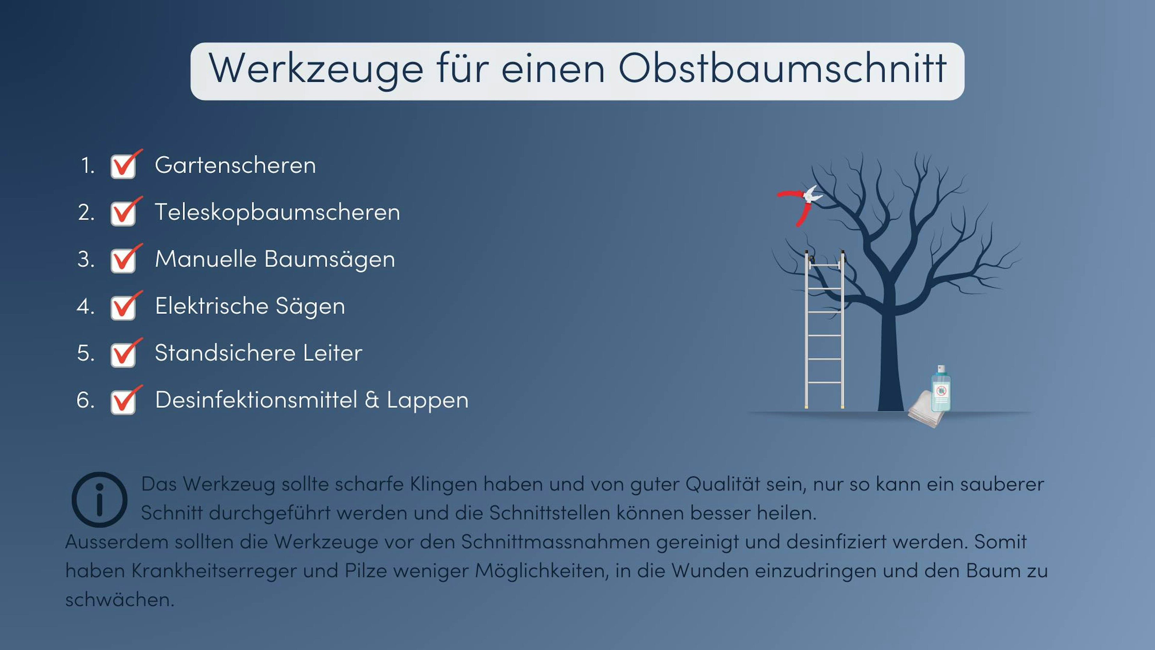 Obstbaum schneiden: Ein Leitfaden zur richtigen Baumpflege