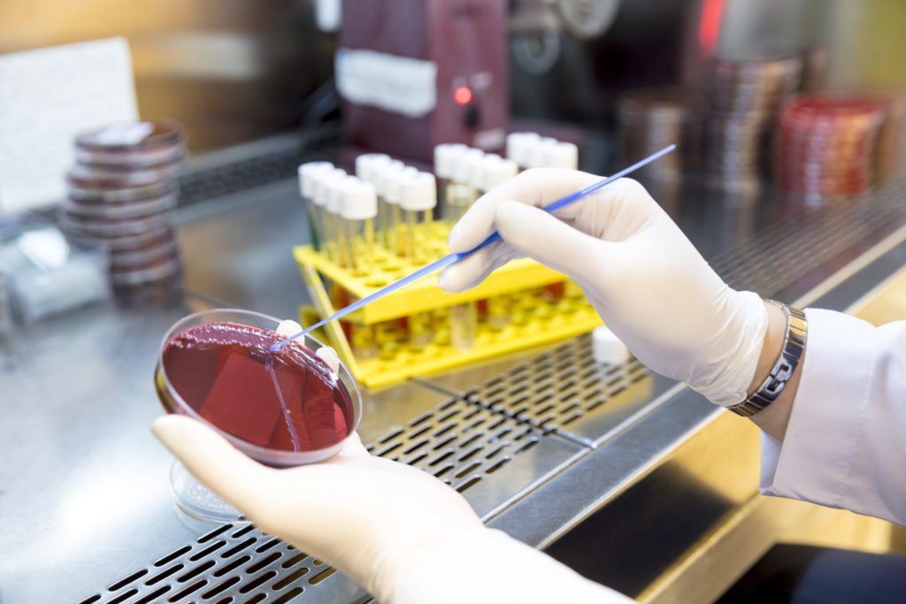 Snow Medical | Image Gallery